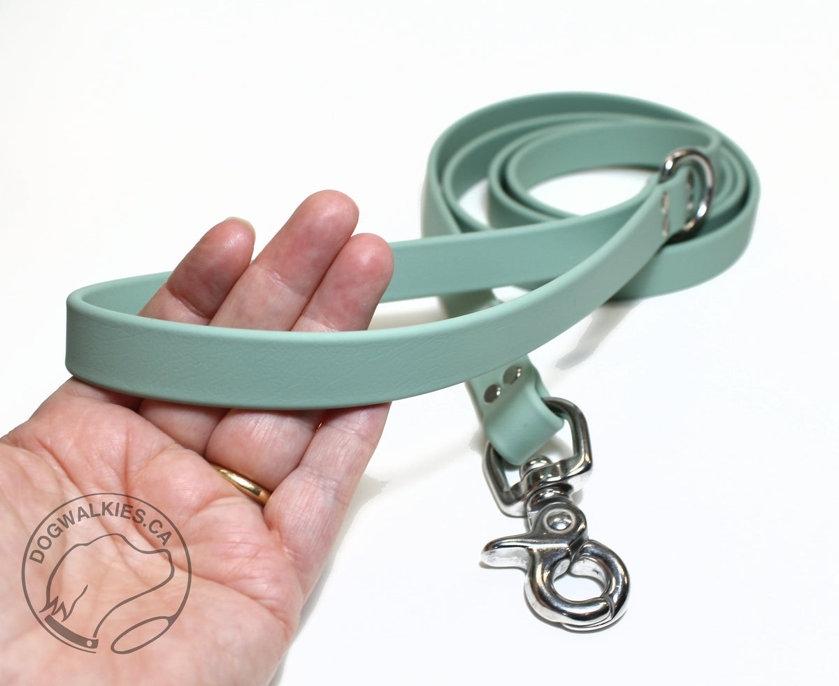 Sage Green Biothane Large Dog Leash – Dog Walkies.ca