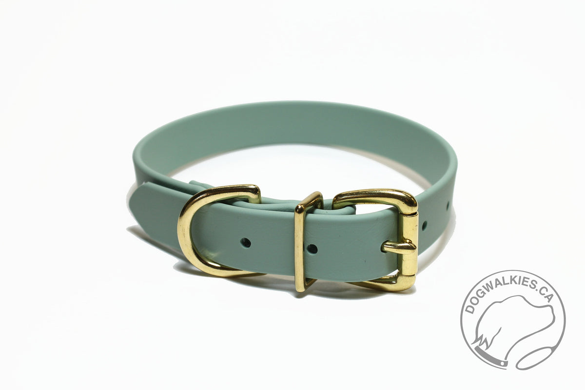 Sage Green Biothane Dog Collar - 1 inch (25mm) wide – Dog Walkies.ca