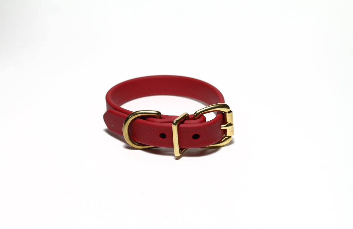 **NEW Chili Red Biothane Dog Collar - 5/8"(16mm) wide – Dog Walkies.ca